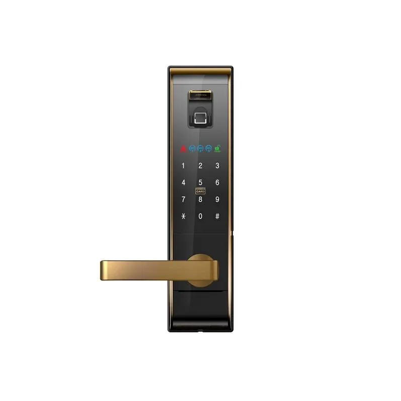 4WAY Method Fingerprint Mortise Lock | Electronic/ Mechanical Lock | PT ...
